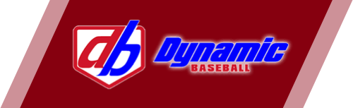Keystone State Bombers 16u National 2024 Team Profile | Dynamic Baseball